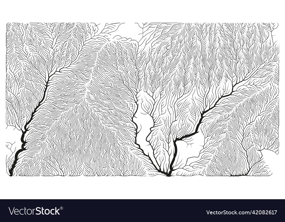 Growth pattern generative branching structure Vector Image
