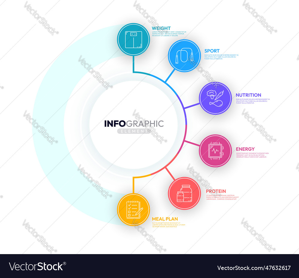Infographics on nutrition healthy food or fitness Vector Image
