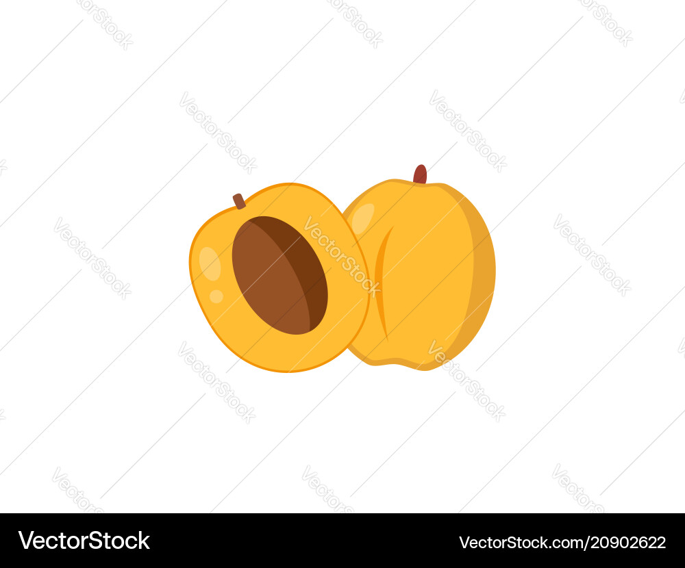 Abstract icon logo for whole ripe fruit orange Vector Image