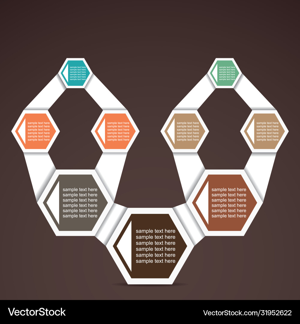 Colorful infographic hexagon Royalty Free Vector Image