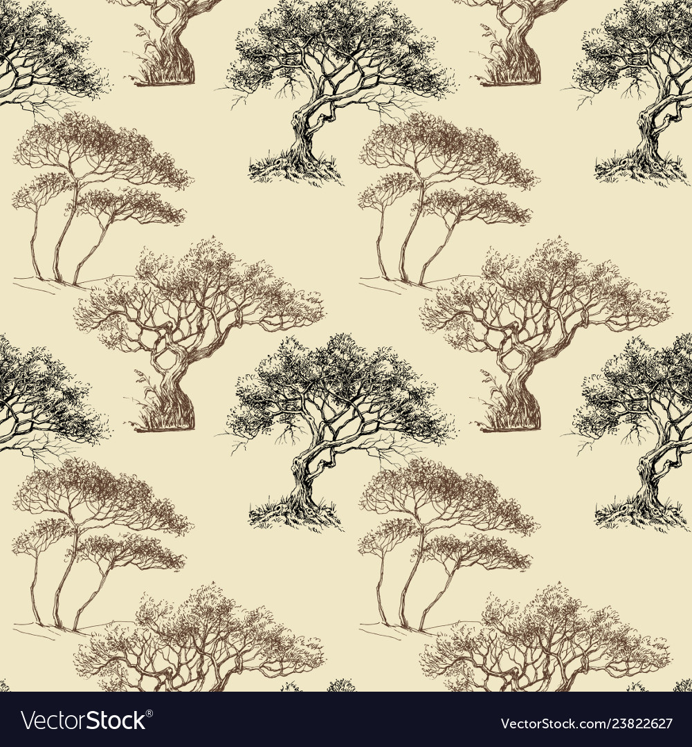 Olive trees seamless pattern Royalty Free Vector Image