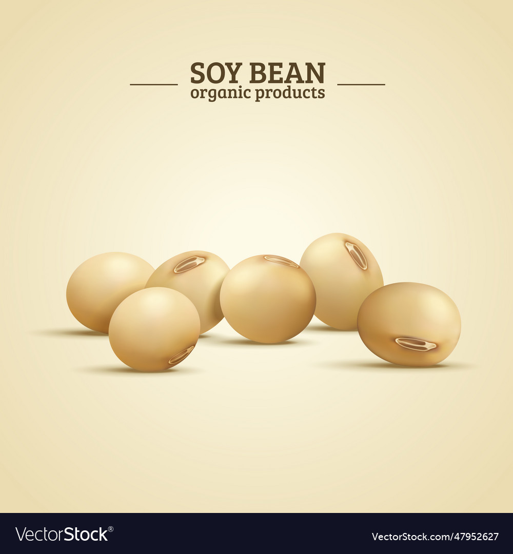 Soy bean elements Royalty Free Vector Image - VectorStock