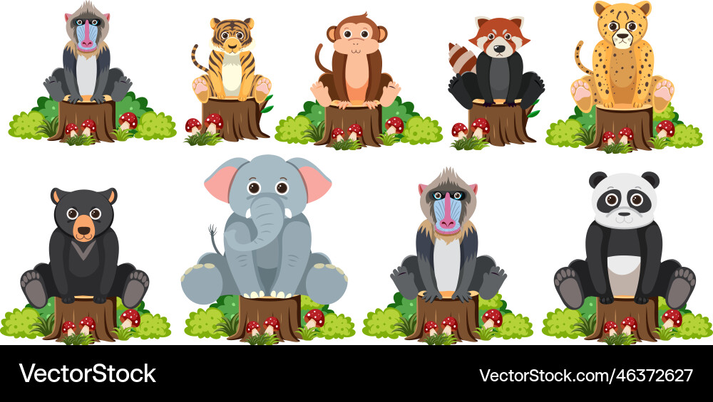 Wild animals cartoon collection Royalty Free Vector Image