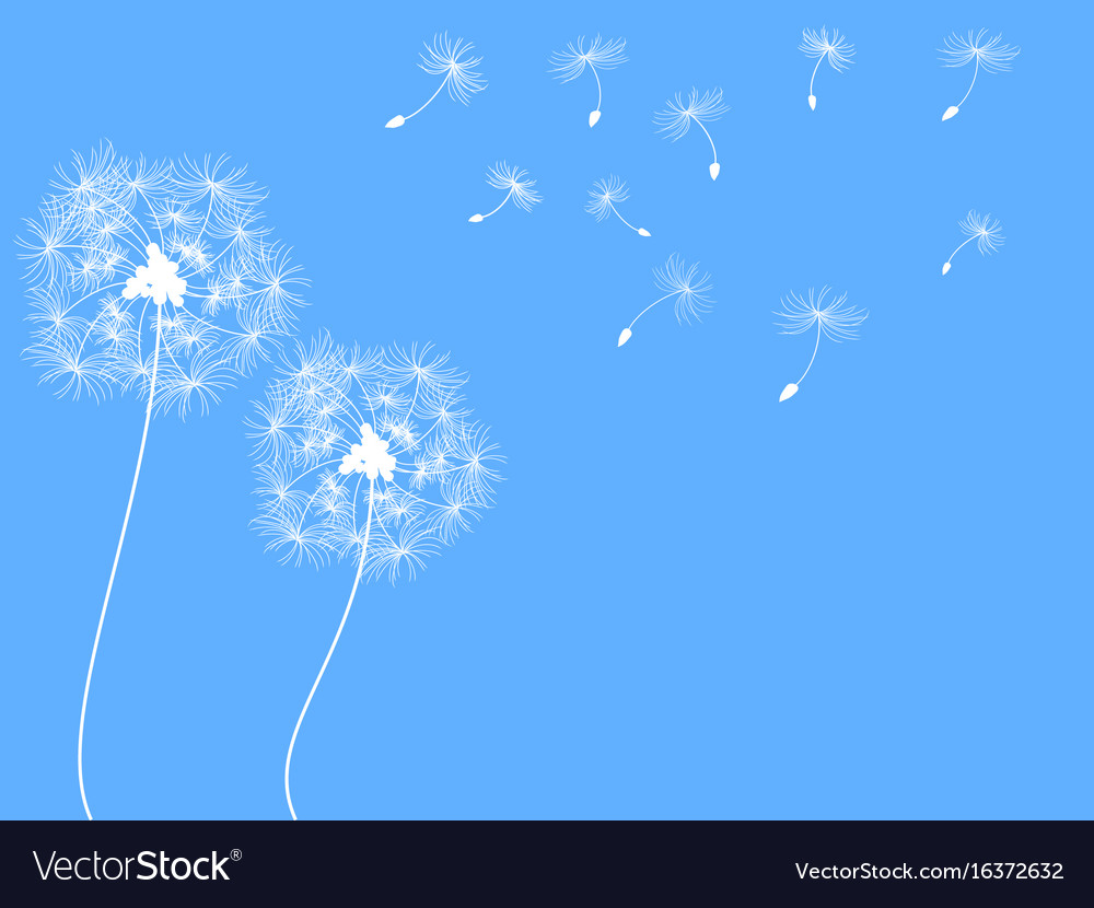 Dandelion background Royalty Free Vector Image