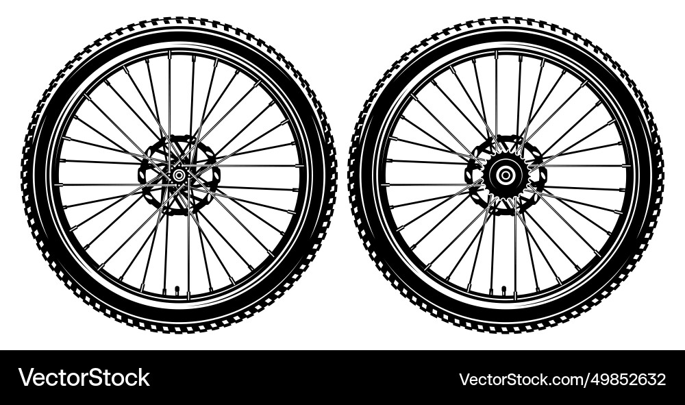 Set of two bicycle wheels front and rear Vector Image
