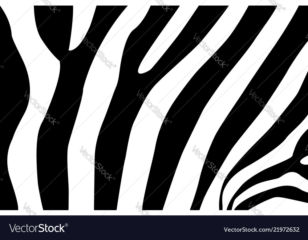 Zebra - striped pattern Royalty Free Vector Image