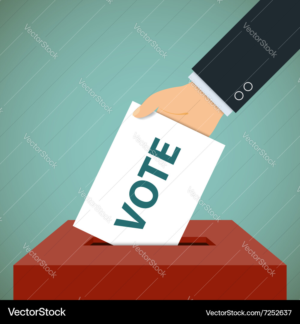 Ballot paper stock Royalty Free Vector Image - VectorStock