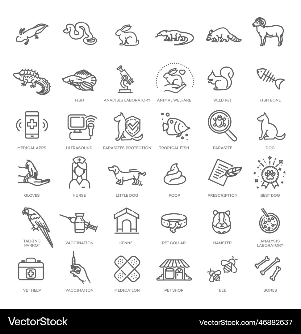 Big set outline web icon - pet vet Royalty Free Vector Image