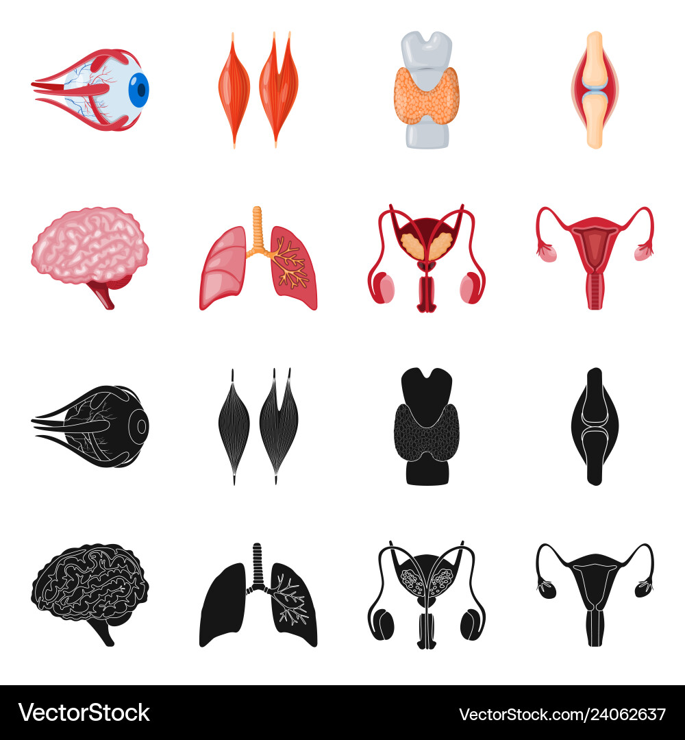 Biology and scientific logo Royalty Free Vector Image