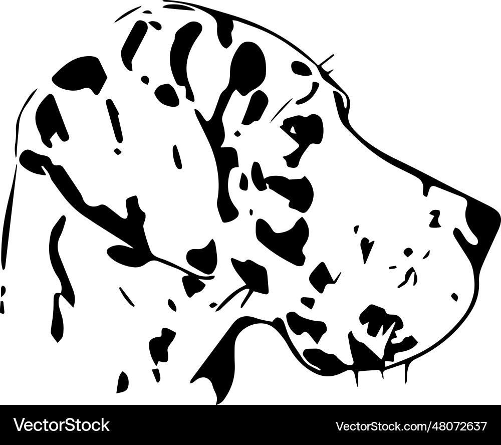 Isolated great dane head silhouette black and whit