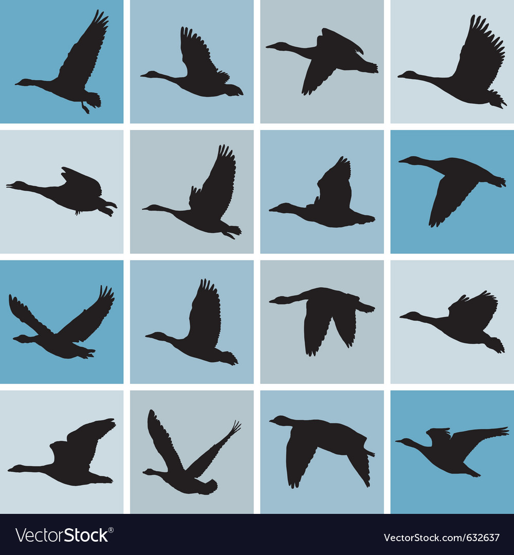 Wild geese pattern Royalty Free Vector Image - VectorStock