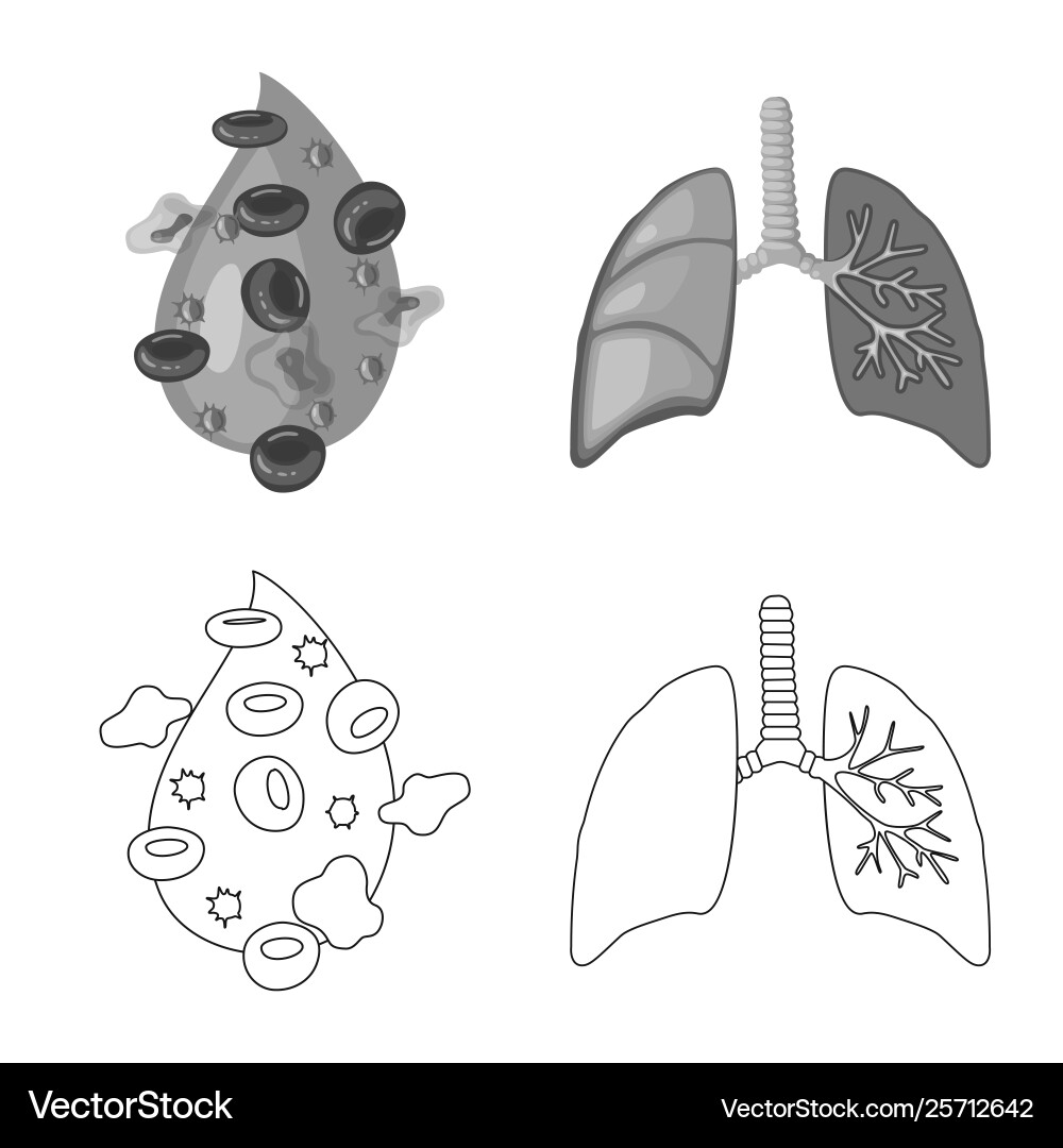 Isolated object biology and scientific sign Vector Image