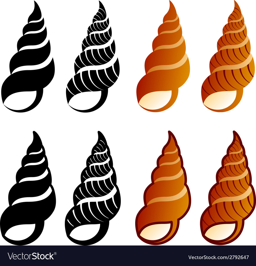 Sea shells Royalty Free Vector Image - VectorStock