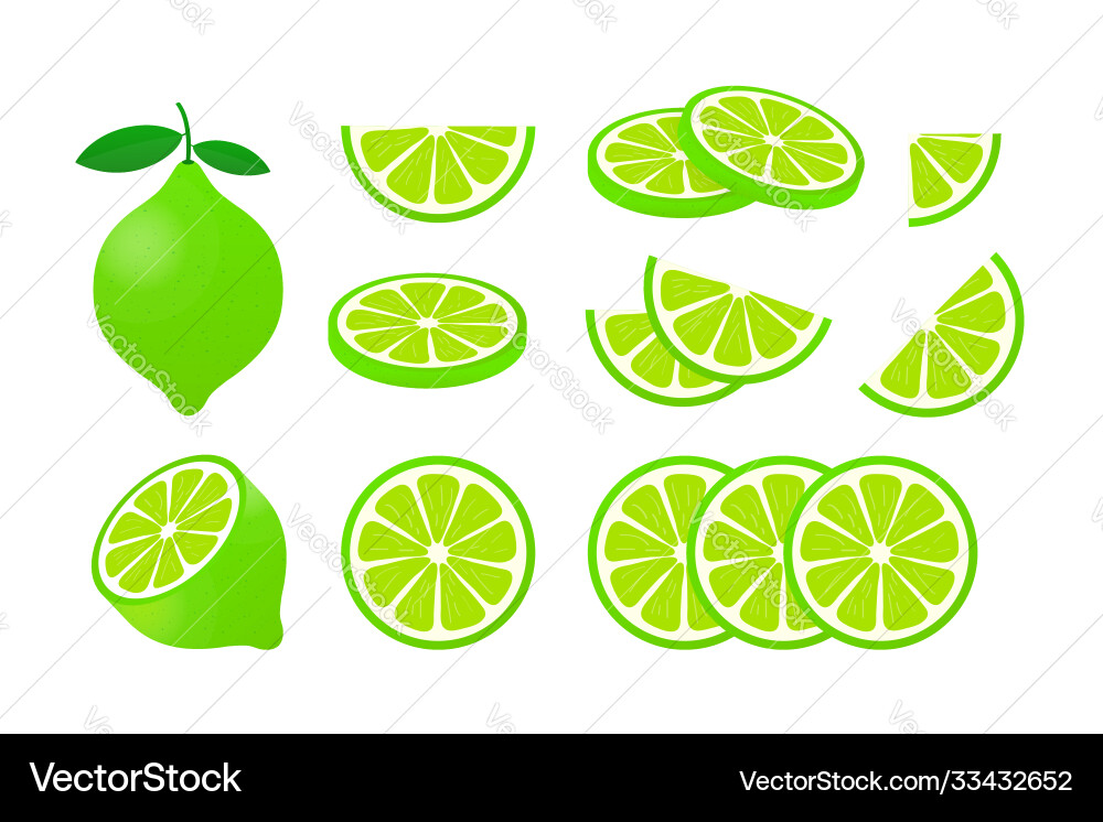 Lime with green leaves slice citrus isolated Vector Image