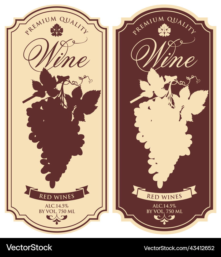 Set of two wine labels with grape bunches Vector Image