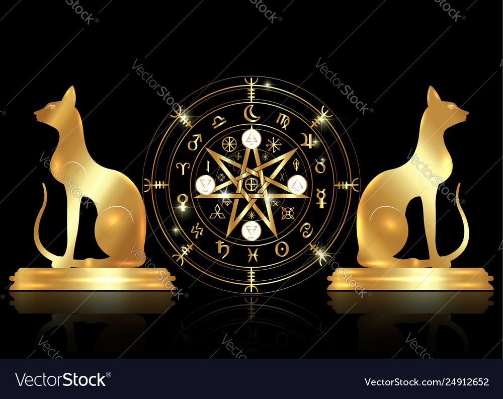 Wiccan symbol protection set mandala wicca Vector Image