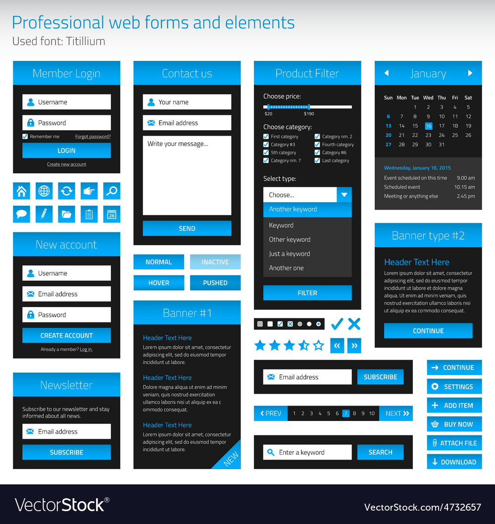 Professional set of web forms and elements Vector Image