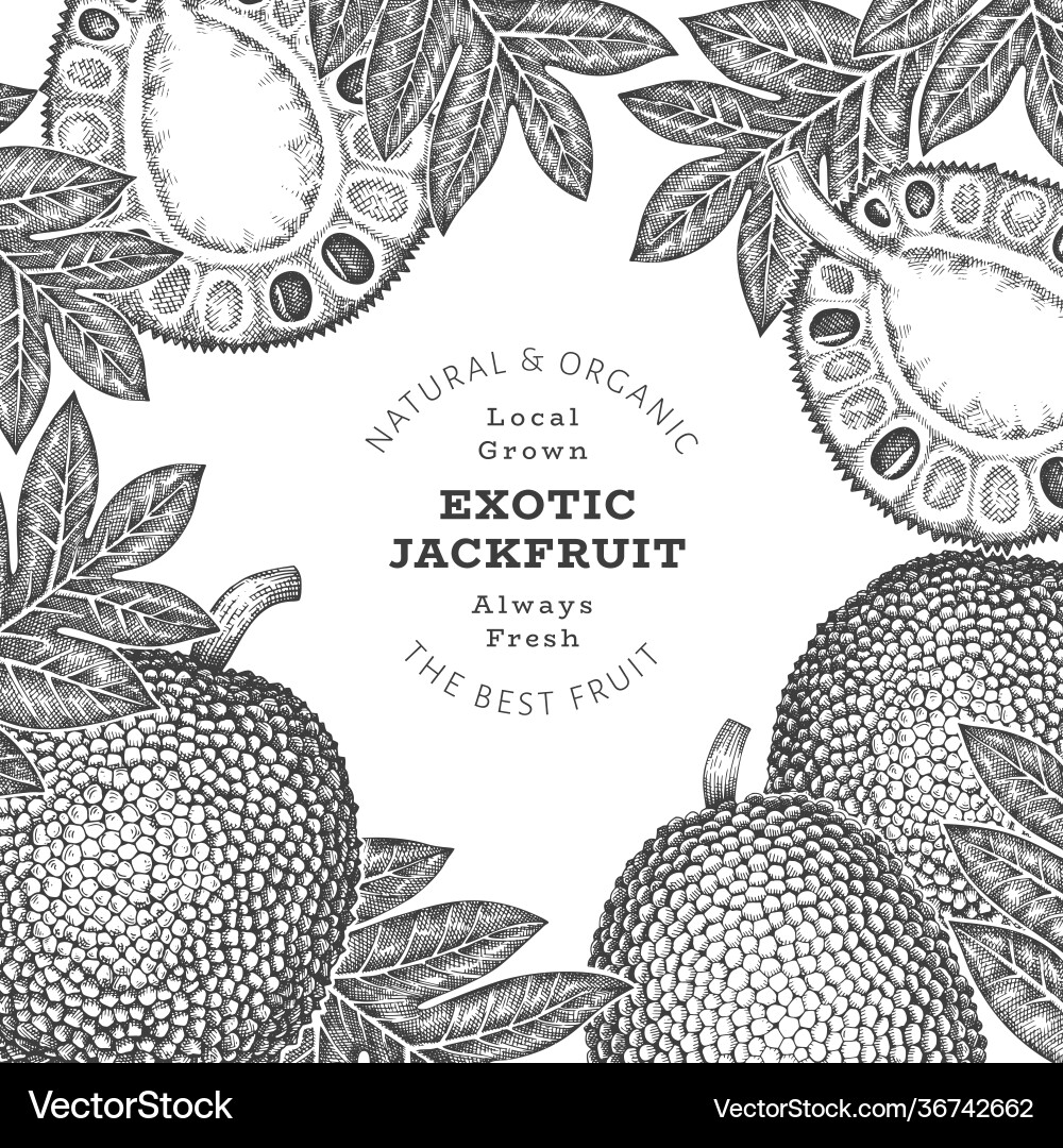 Hand drawn sketch style jackfruit banner organic Vector Image