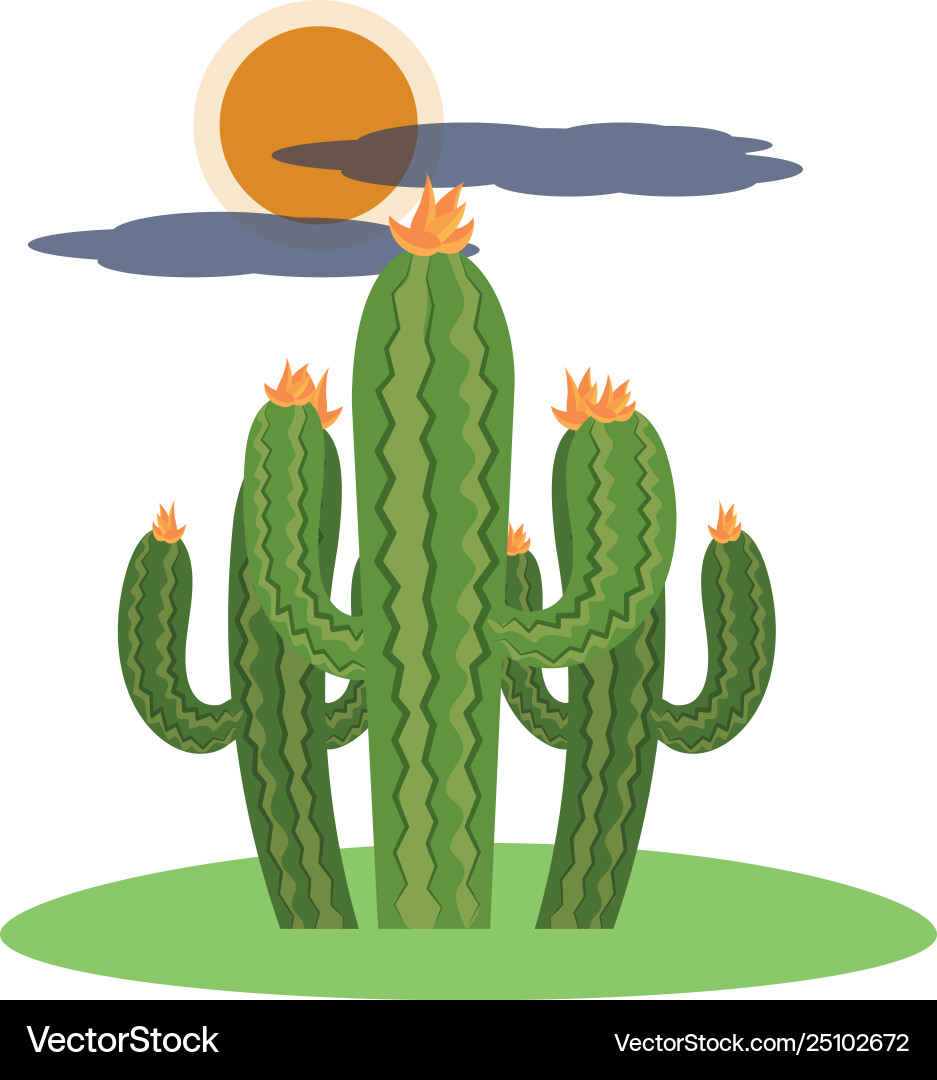 Cactus outdoor cartoon Royalty Free Vector Image