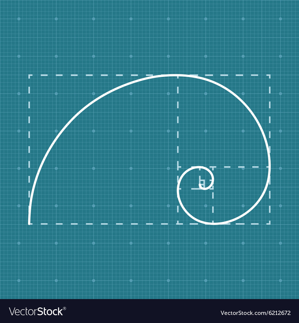 Golden Section On Grid Paper Royalty Free Vector Image