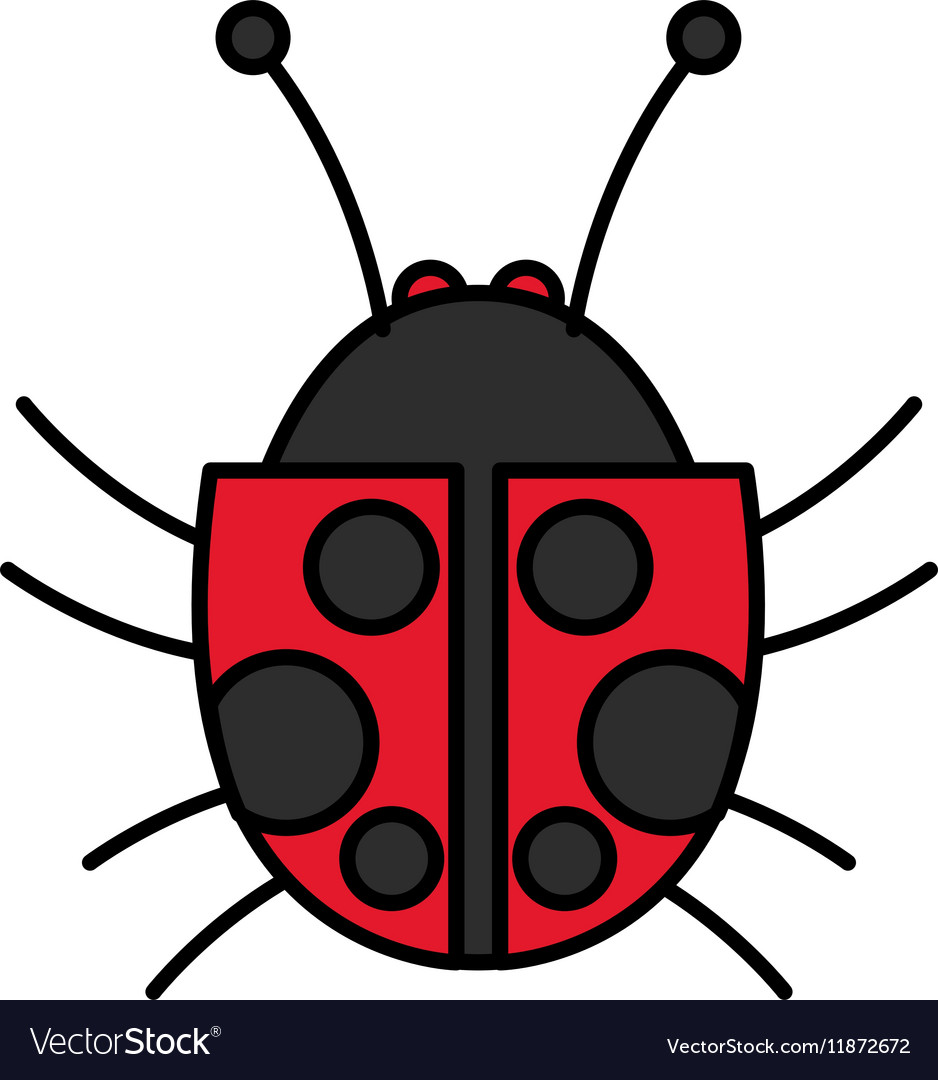 Isolated bug design Royalty Free Vector Image - VectorStock