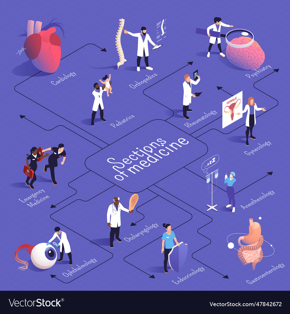 Sections of medicine isometric flowchart Vector Image Sections of medicine isometric flowchart Vector Image