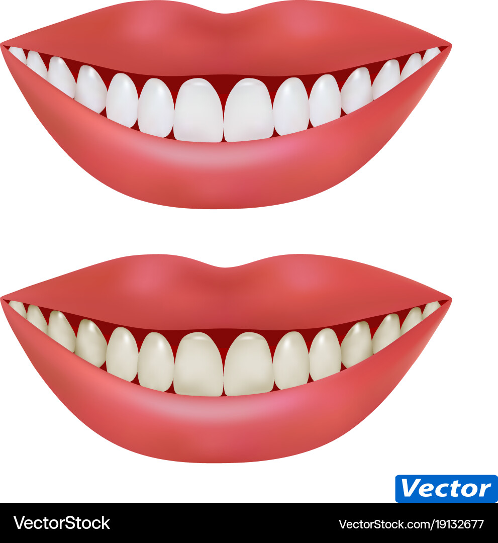 A realistic female mouth lips and teeth Royalty Free Vector