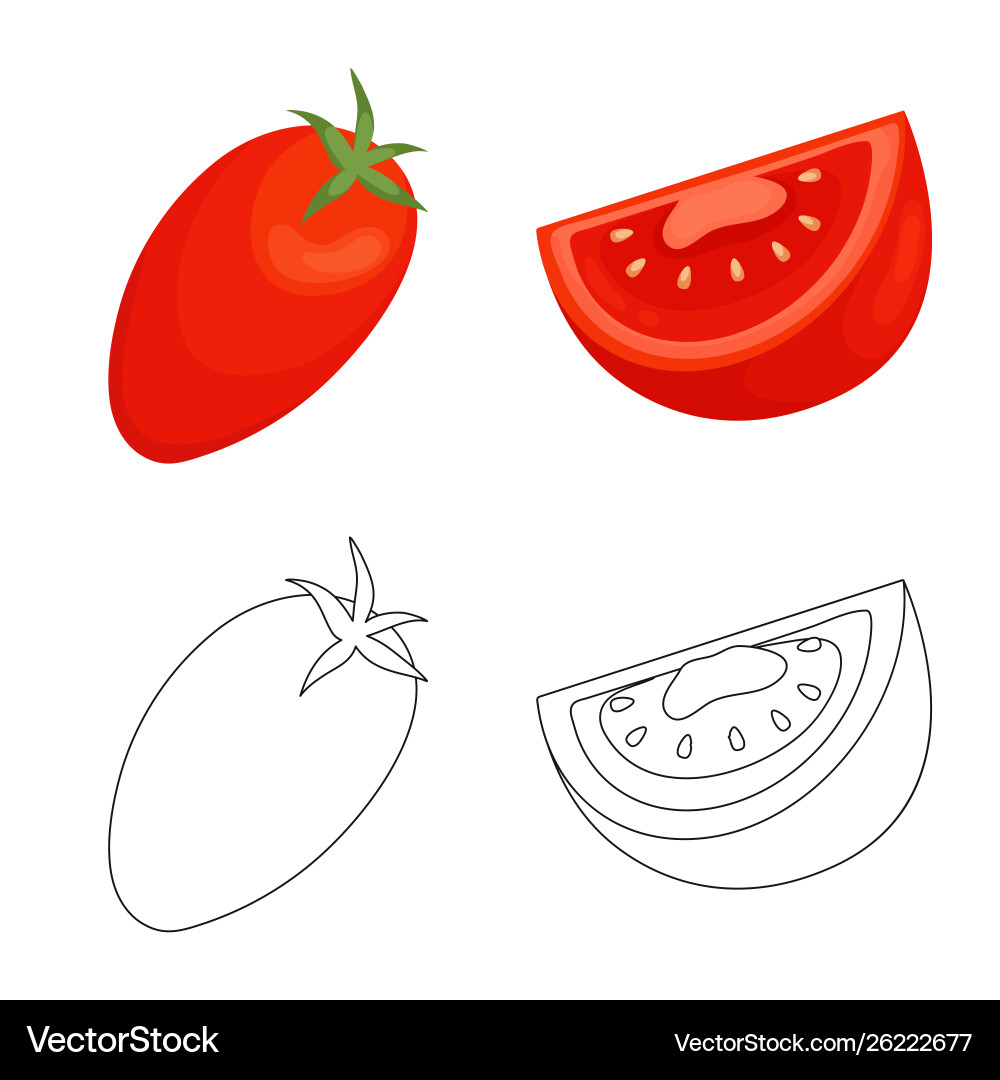 Design vegetable and delicious symbol Royalty Free Vector
