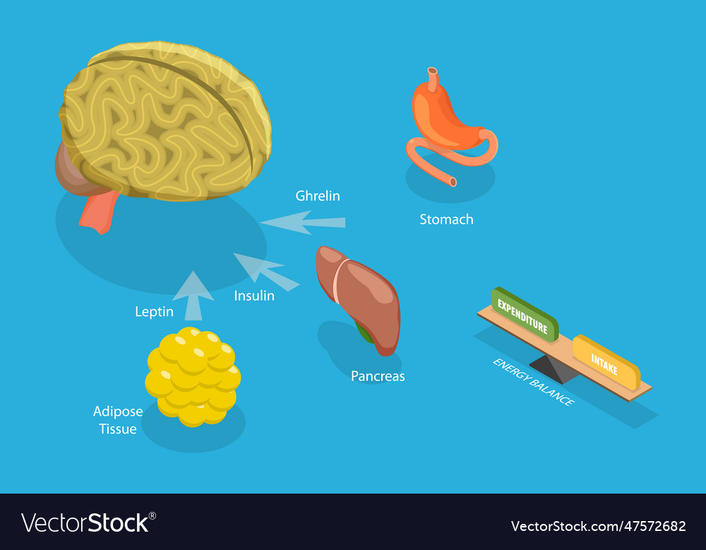 3d isometric flat conceptual Royalty Free Vector Image