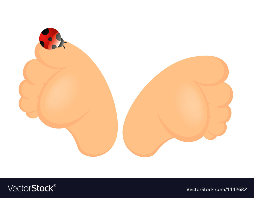 Insect Royalty Free Vector Image - VectorStock Insect Royalty Free Vector Image - VectorStock