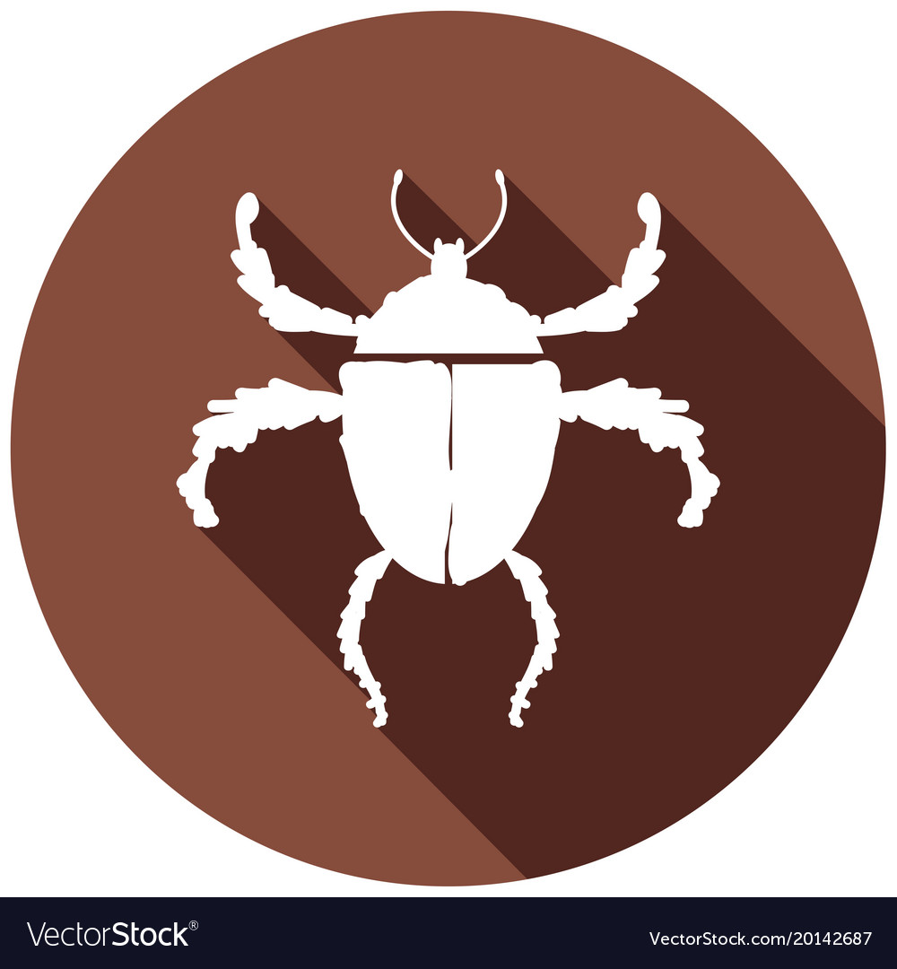 Bug Royalty Free Vector Image - VectorStock