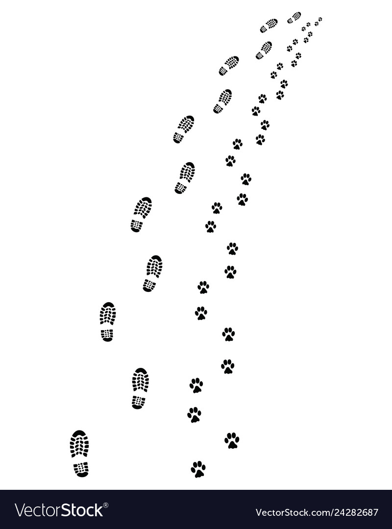 Footprints of man and dog Royalty Free Vector Image