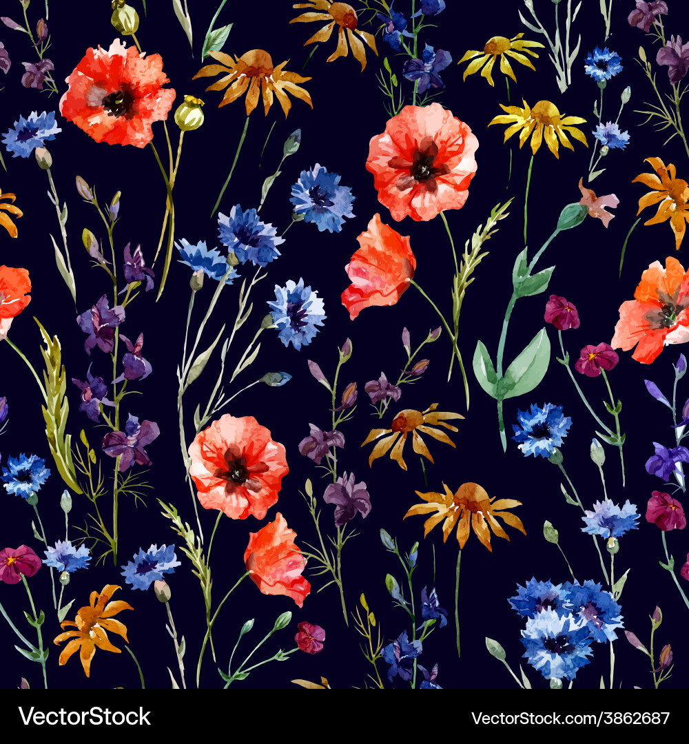 Wildflowers Royalty Free Vector Image - VectorStock