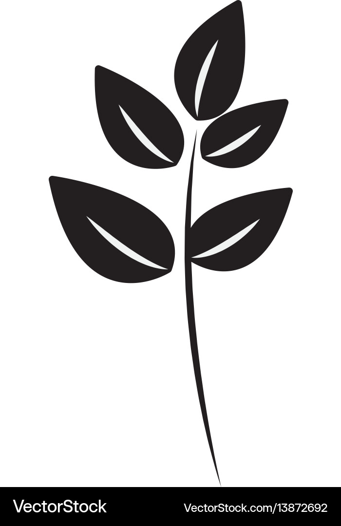 Black plant branch decoration design Royalty Free Vector