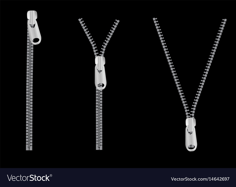 Zips Royalty Free Vector Image - VectorStock