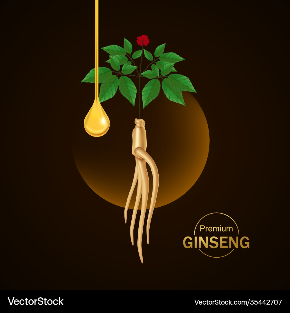 Ginseng for good health Royalty Free Vector Image