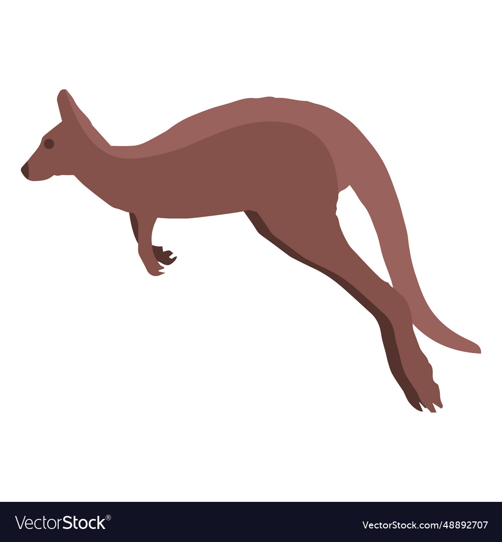 Kangaroo jumping Royalty Free Vector Image - VectorStock