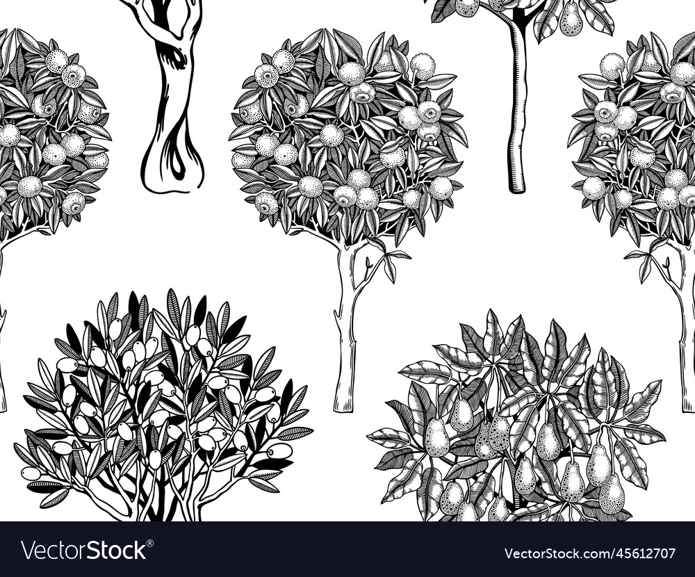 Sketched trees seamless pattern decorative plants Vector Image