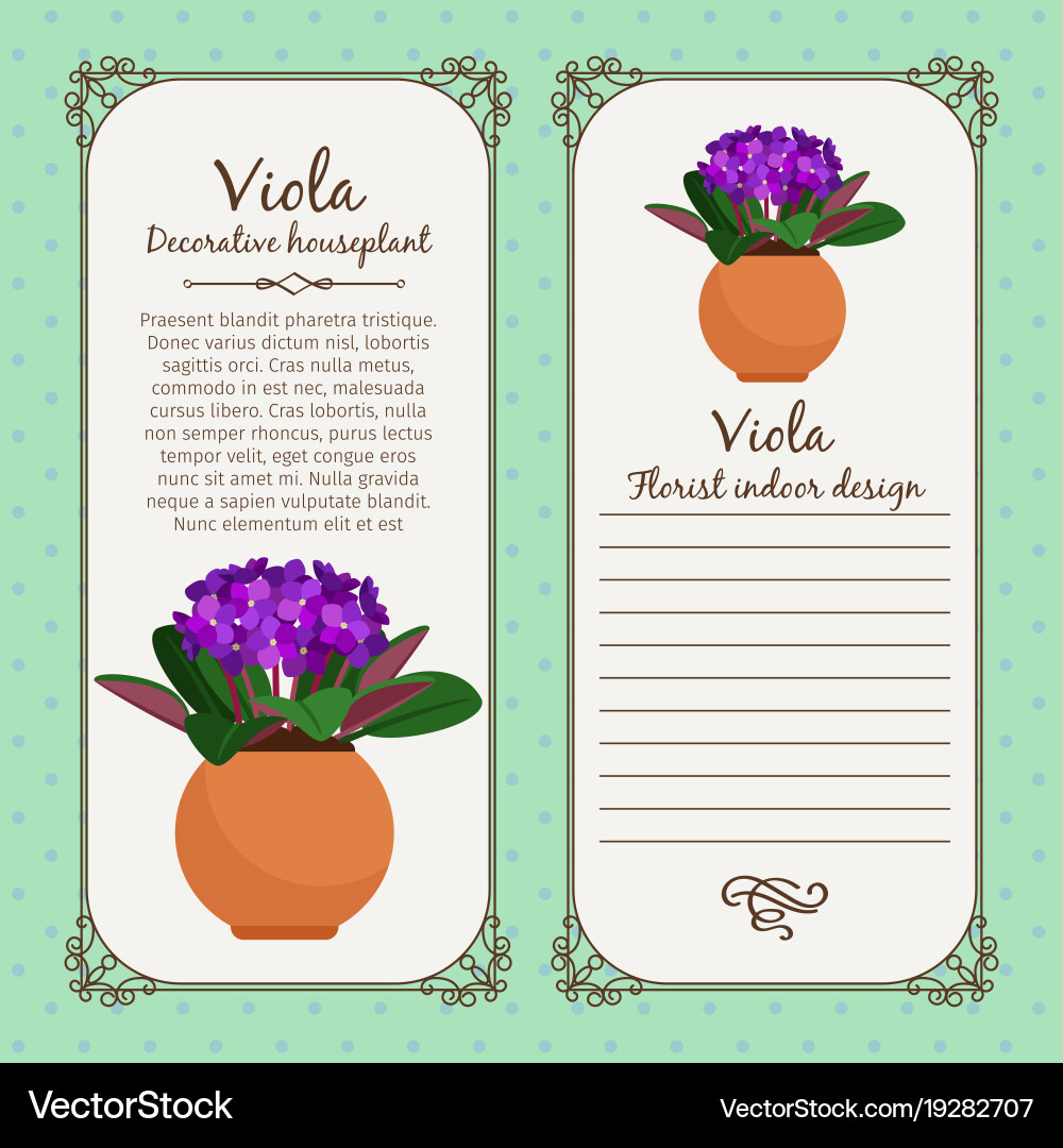 Vintage label with viola plant Royalty Free Vector Image