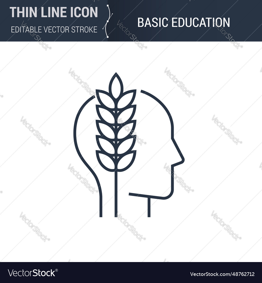 Basic education icon Royalty Free Vector Image