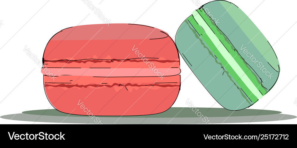 Colorful macaroons or color Royalty Free Vector Image