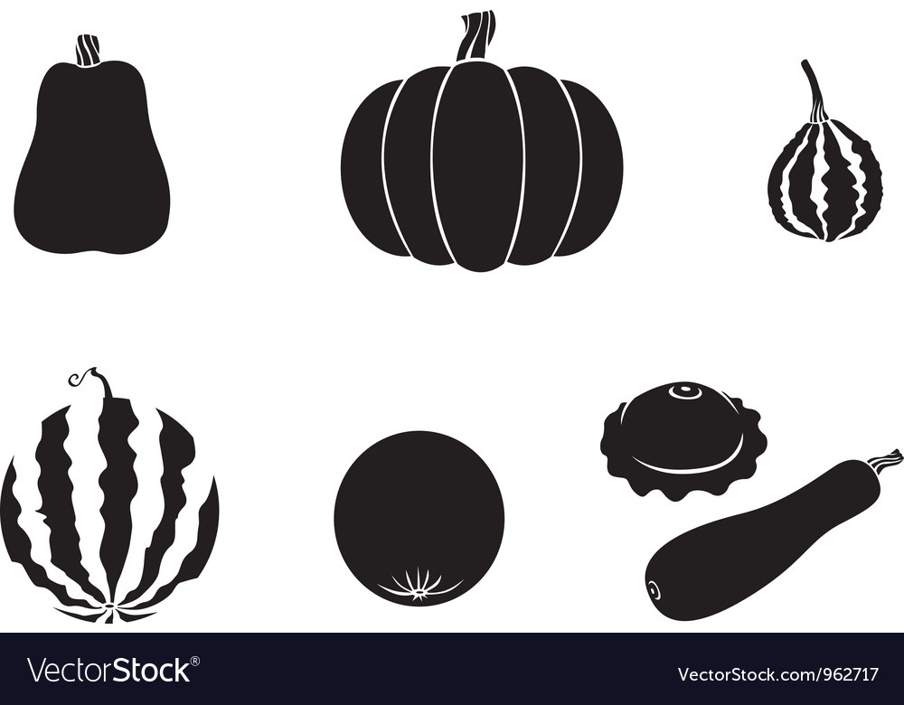 Melons Royalty Free Vector Image - VectorStock