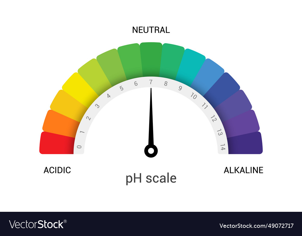 Ph scale indicator chart diagram acidic alkaline Vector Image