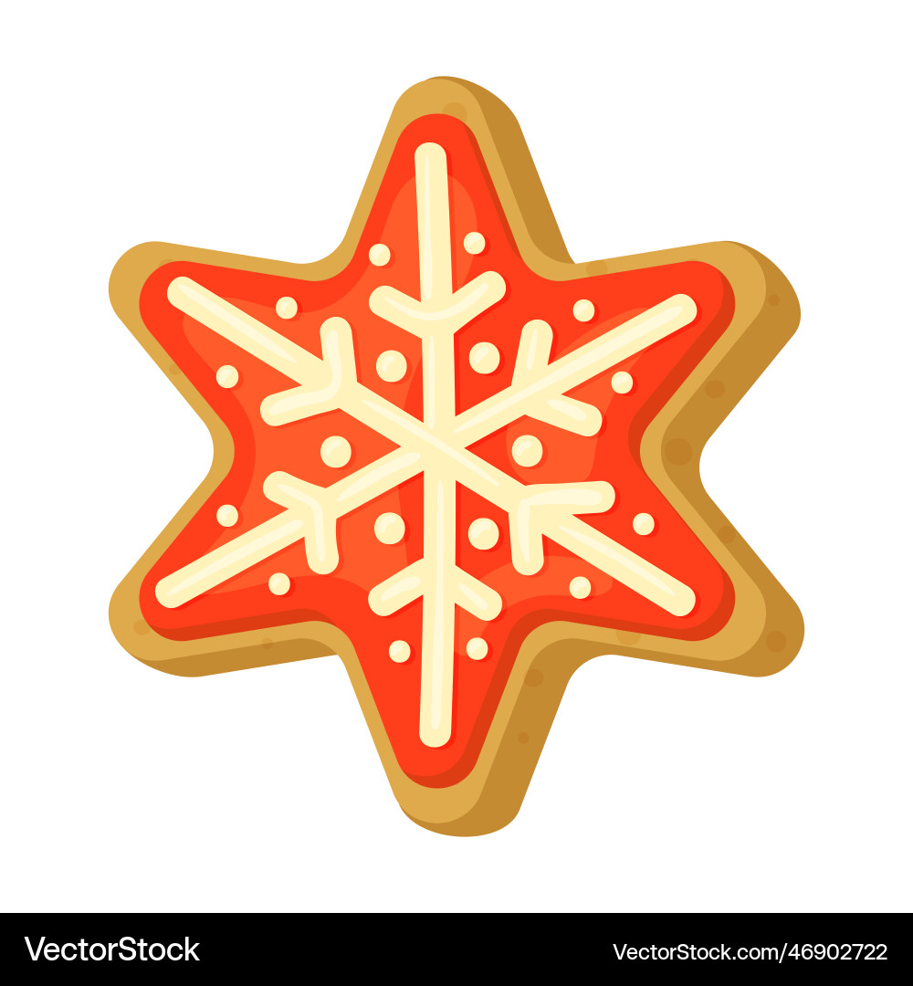 Homemade gingerbread six pointed glazed star Vector Image
