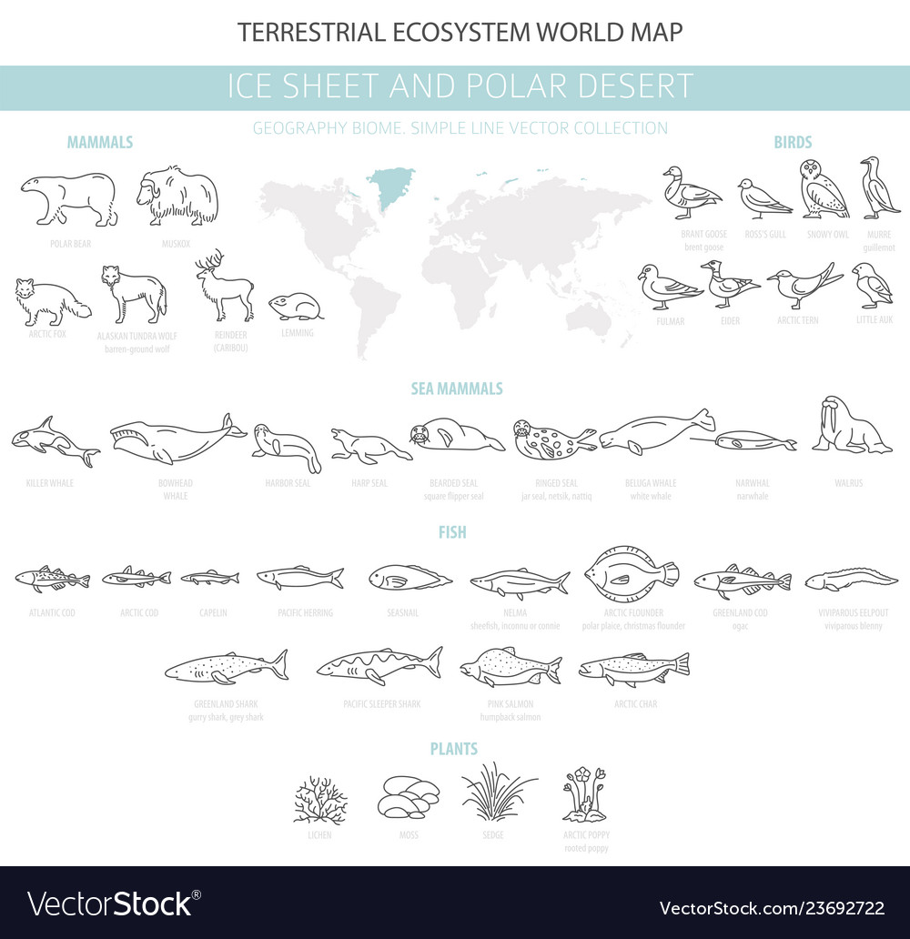 Ice sheet and polar desert biome simple line Vector Image