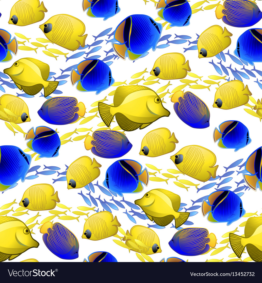 Graphic ocean fish pattern Royalty Free Vector Image