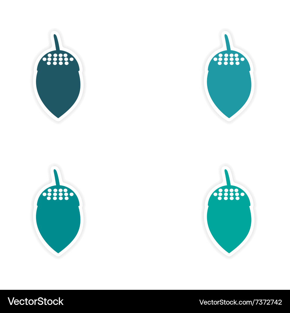 Assembly realistic sticker design on paper acorns Vector Image