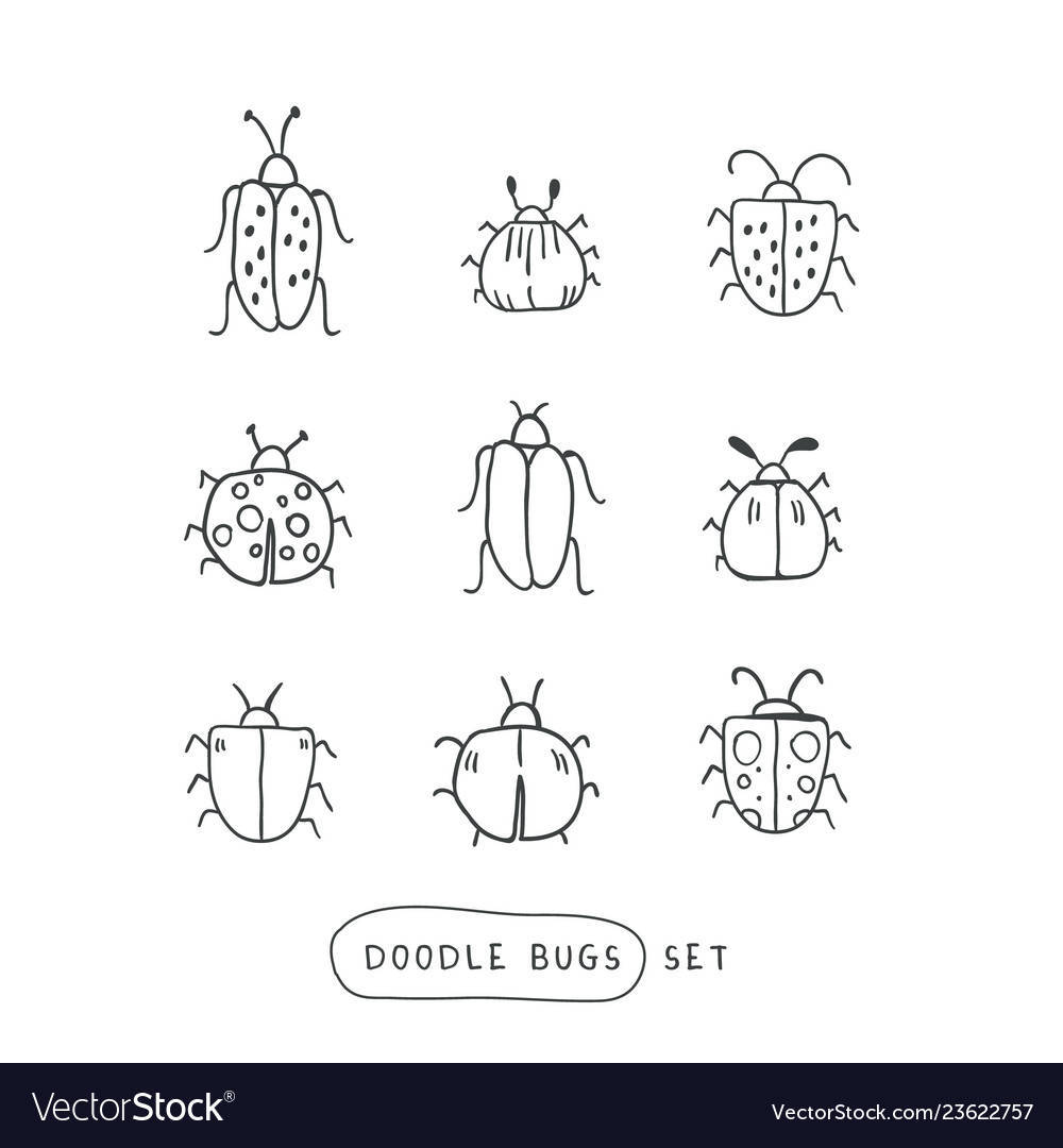 Big line hand drawn doodle set - insects bugs Vector Image