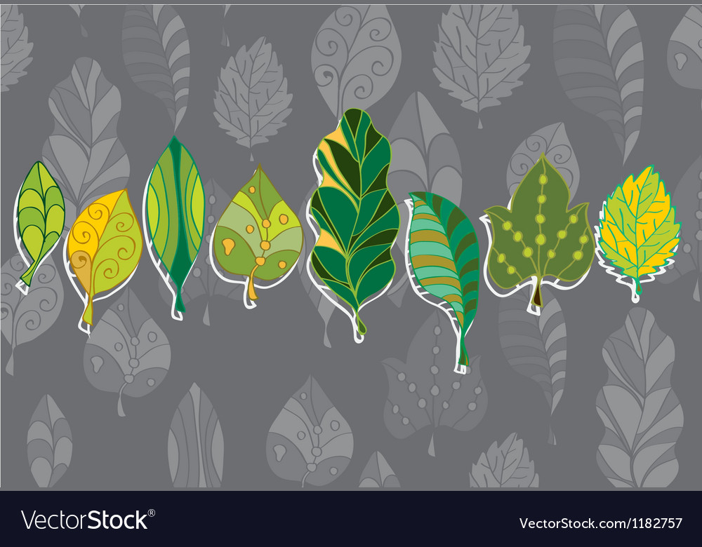 Leaf Royalty Free Vector Image - VectorStock