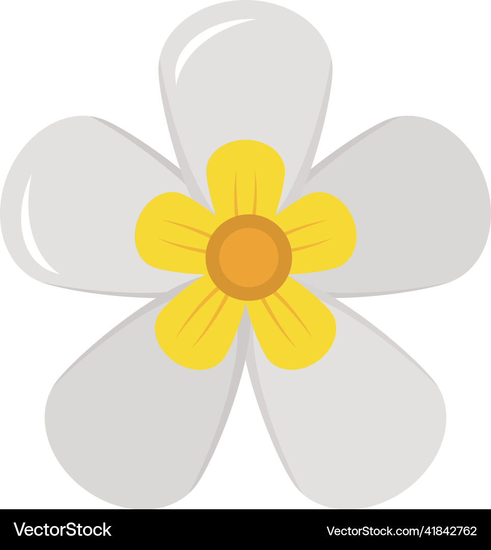 Plumeria flower icon Royalty Free Vector Image
